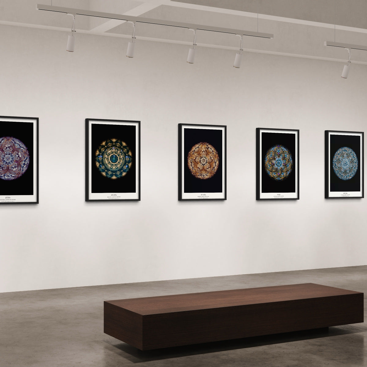 Open Edition Prints - Cymatics Photography Fine Art – Journey of Curiosity
